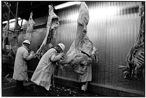 Government, Industry Play the Numbers Game on Worker Safety in ...