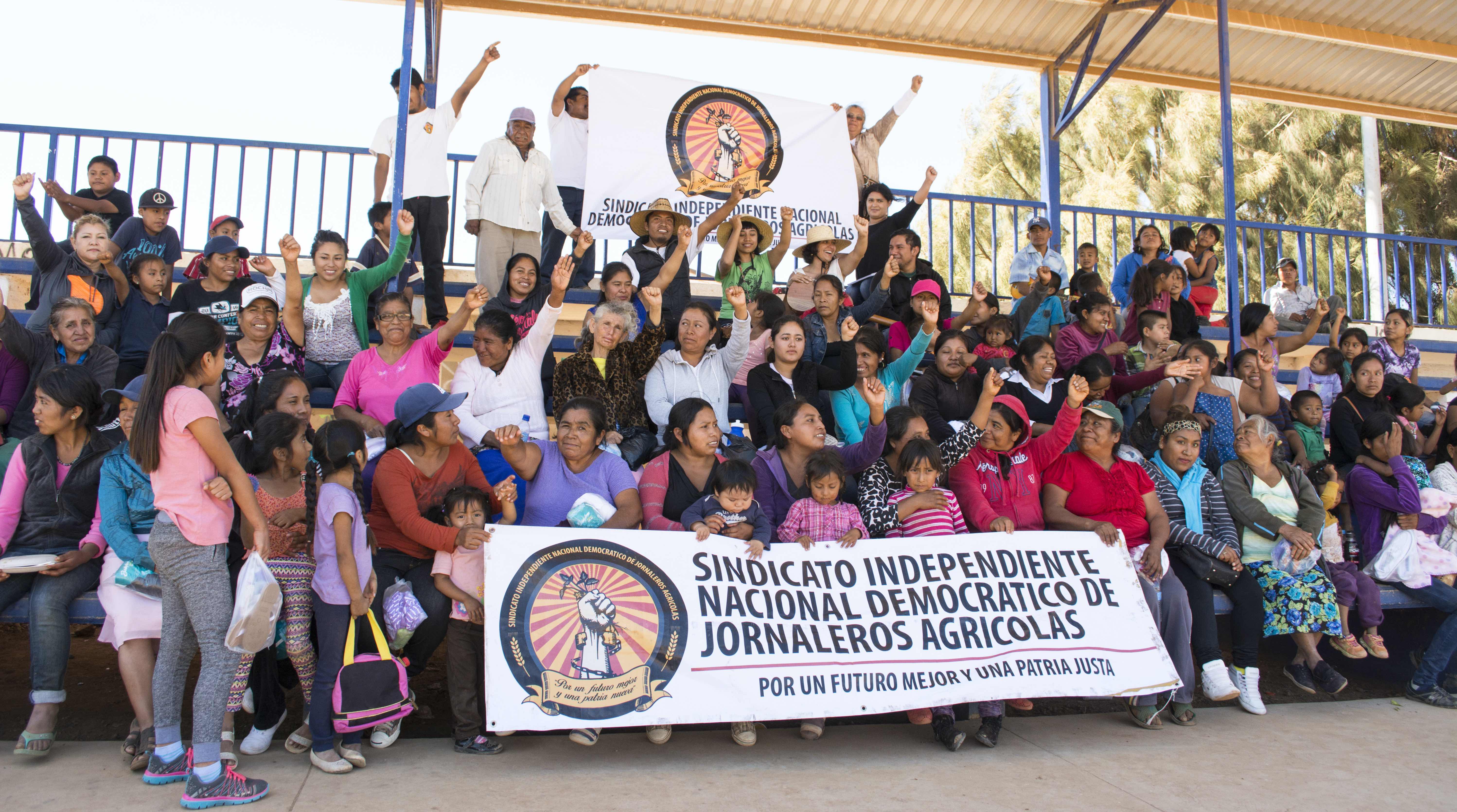 Mexico’s Only Independent Farmworker Union Struggles On Despite ...