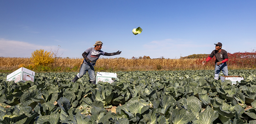 Don’t Compromise on Farmworker Rights | Labor Notes